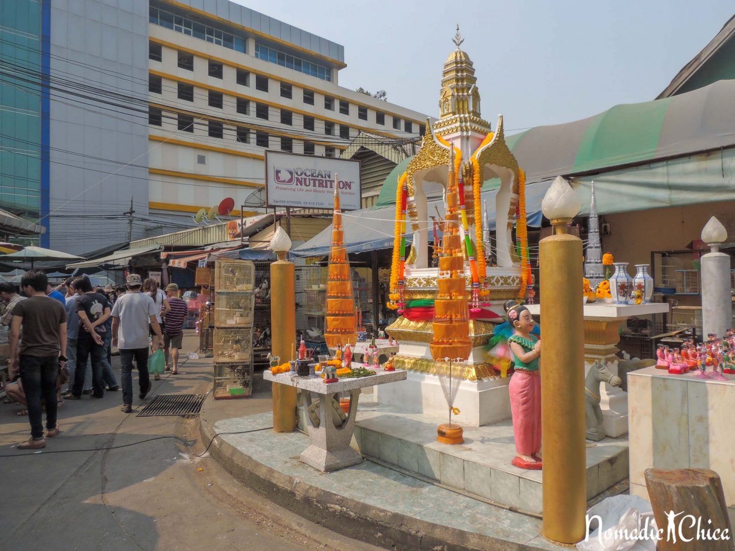 chatuchak market | NomadicChica Travel and Luxury Blog