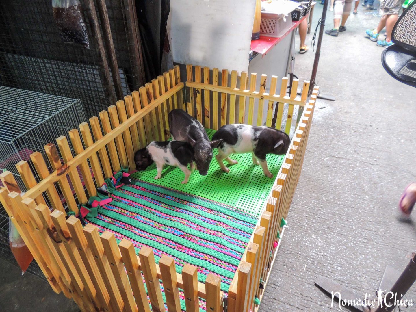 THAILAND Chatuchak Market Bangkok | NomadicChica Travel and Luxury Blog